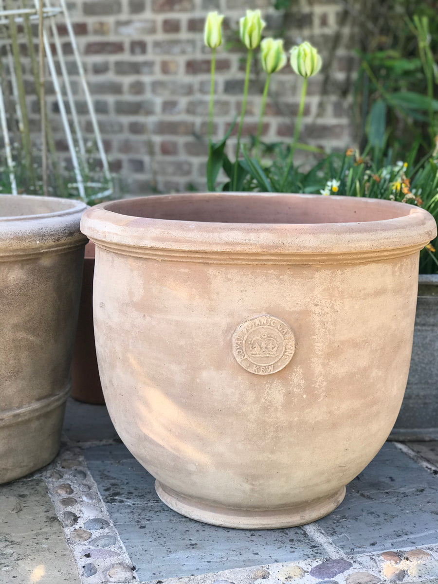Temperate House Kew Frostproof Terracotta Planter - Extra Large ...